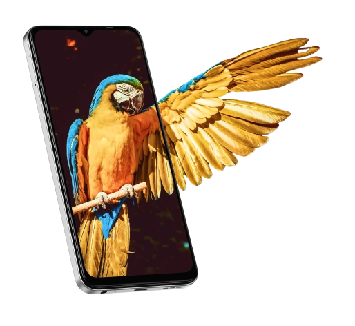 Stunning Immersive Screen